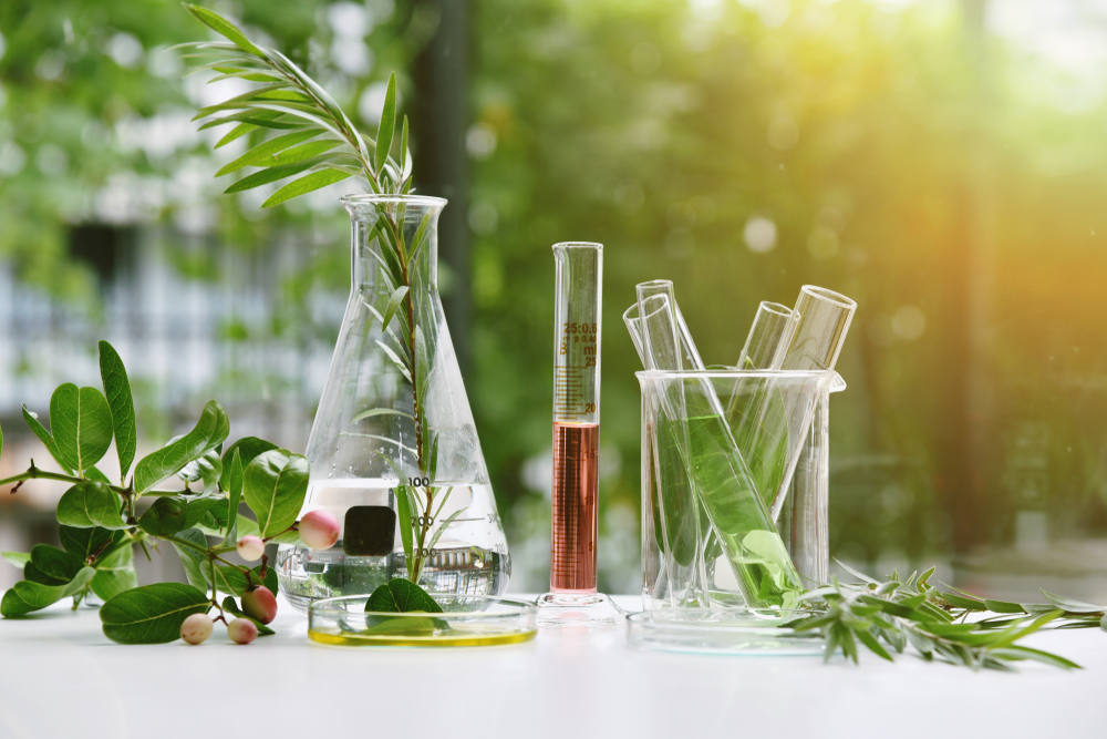 Ultrasound Used In Production Of Plant Extracts Labs Of Latvia